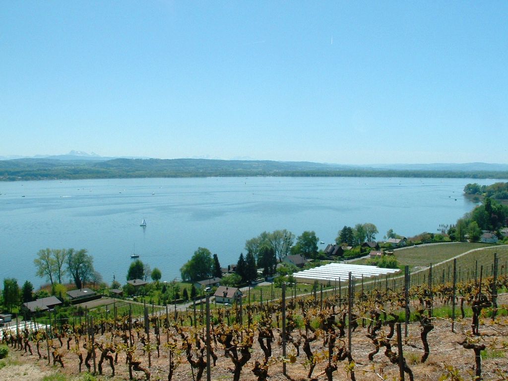 Lac de Morat / Murtensee