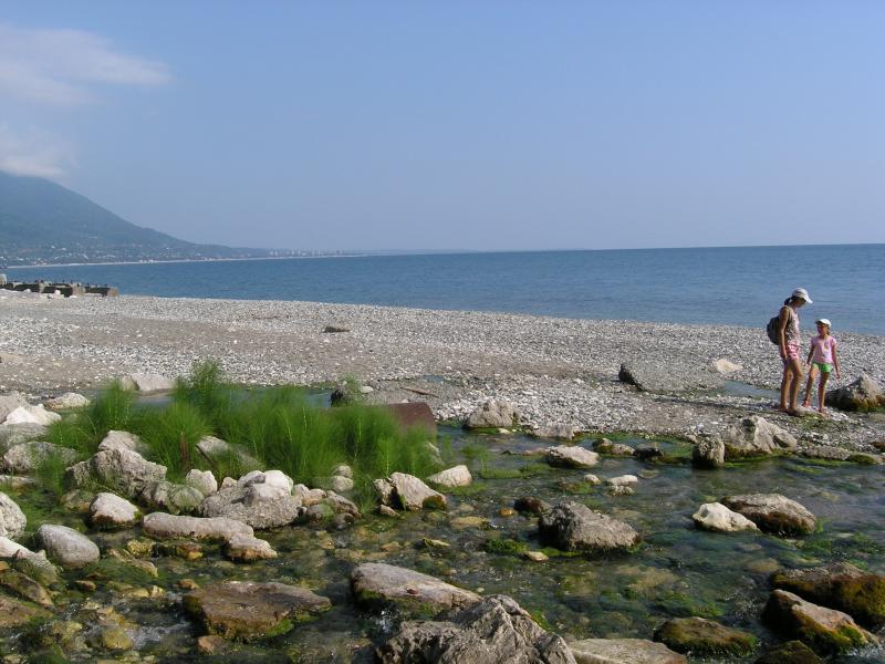 Reprua-samaya Korotkaya Reka V Mire